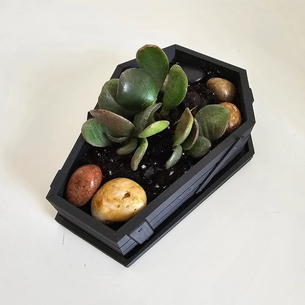 Halloween Decor Coffin – Planter Pots With Drainage – Home Decor ...